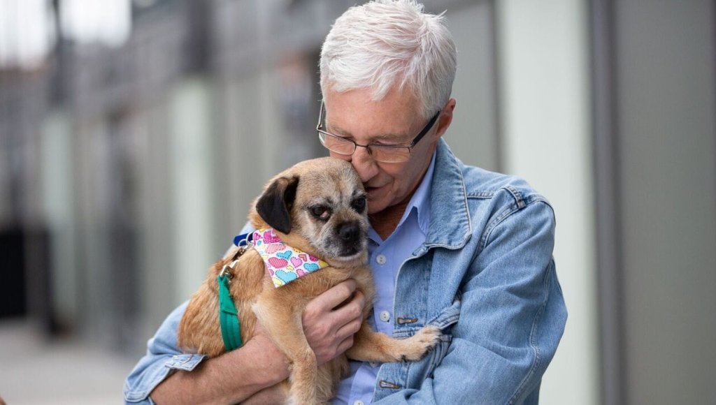 Paul O'Grady, pour l'amour des chiens - Documentaire (2018 ...