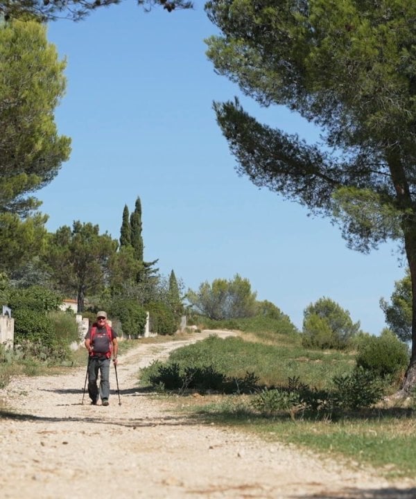 Programme TV Orange | Télé 7 Jours