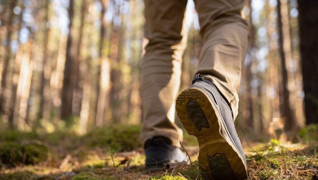 Weatherman Walking - Documentaire : diffusions TV, streaming, replay ...