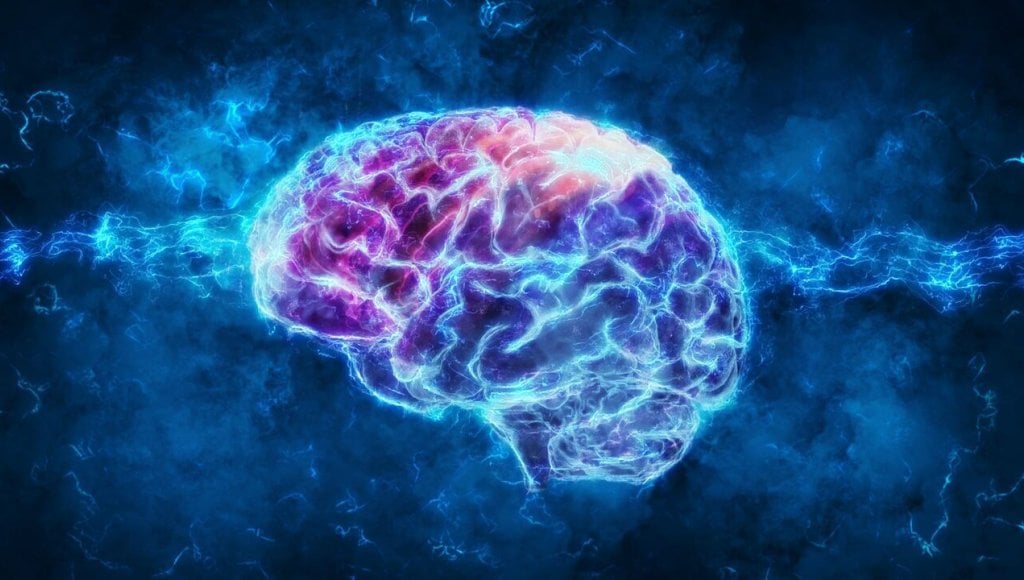 Les incroyables pouvoirs du cerveau - Documentaire : diffusions TV ...