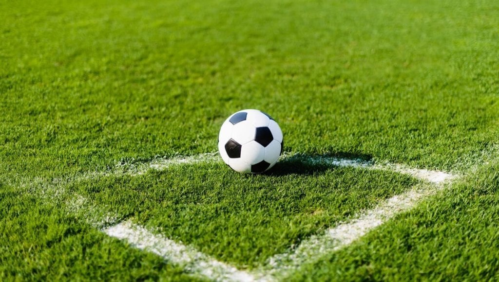 NOS Het Oranjegevoel van 74 - (2024) : diffusions TV, streaming, replay ...