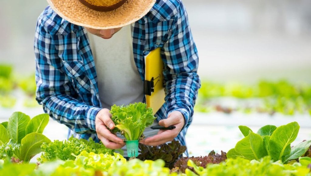 Kelvin's Big Farming Adventure - Documentaire (2022) : diffusions TV ...