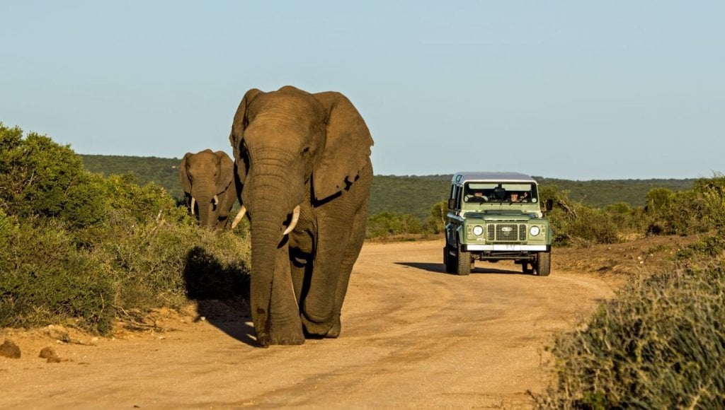 Clive Myrie's African Adventure - : diffusions TV, streaming, replay ...
