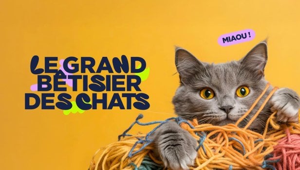 Programme TV aujourd’hui sur CSTAR | Télé 7 Jours