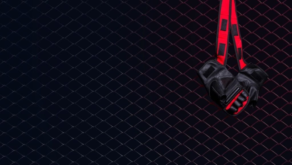 Format MMA - : diffusions TV, streaming, replay | Télé 7 Jours