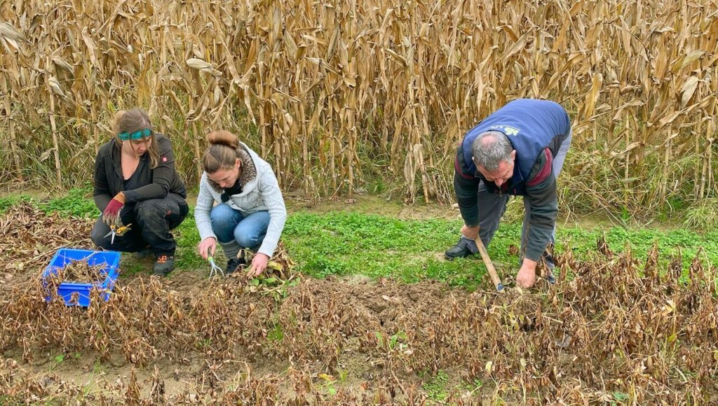 L'agriculture du futur : Révolution dans les plantations - Documentaire ...